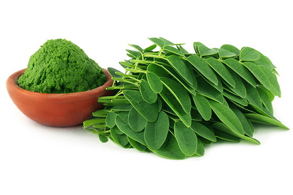 Top Organic Extracts Manufacturers and Suppliers in India - Botaniex