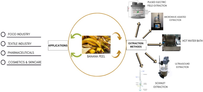 What Are The Extraction Methods Used for Banaba Leaf Extract? - Botaniex